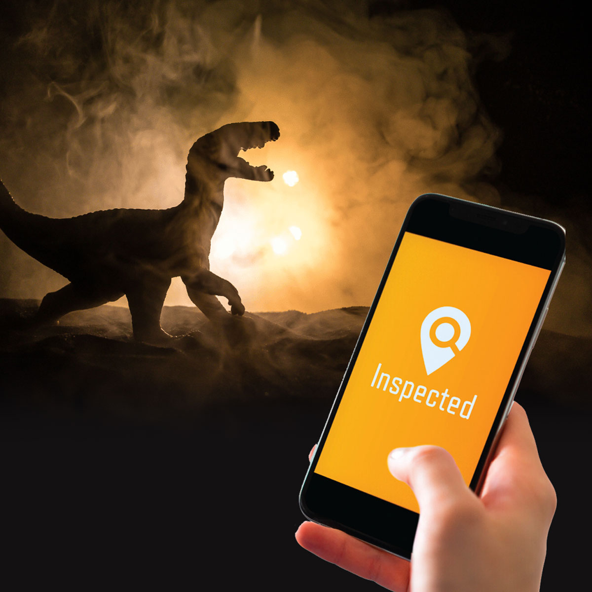 Make Inspection Delays Extinct